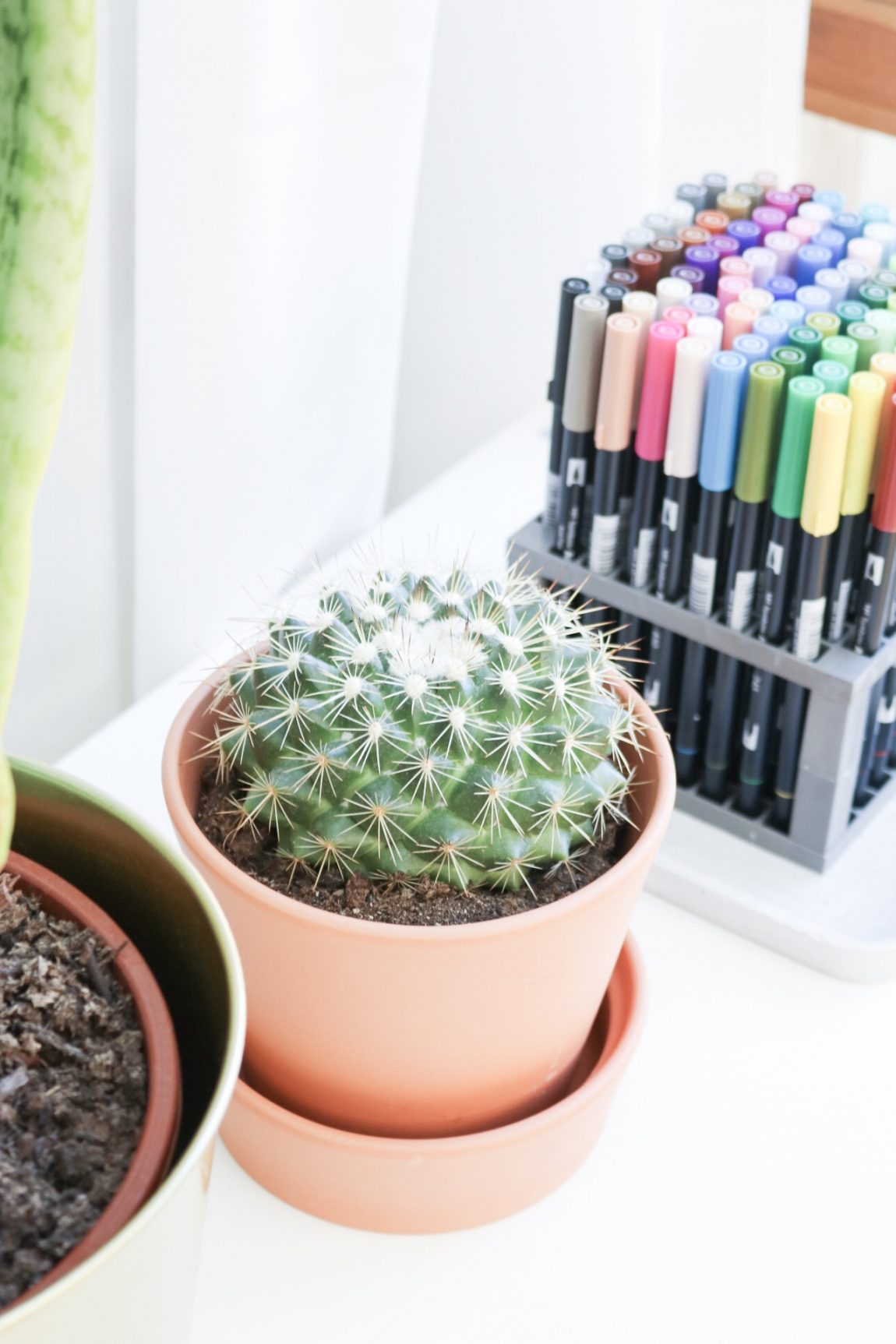 Meine Studio Pre-Opening Party